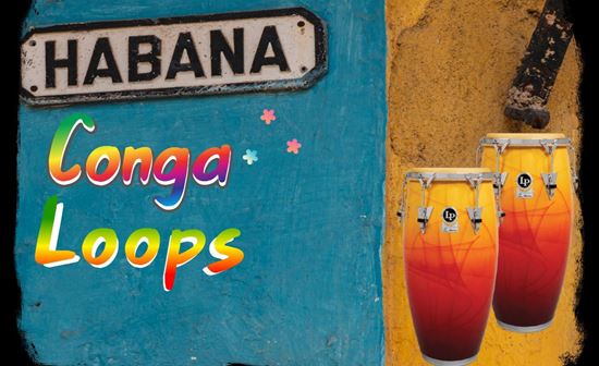 Free Drum Loops. 90 BPM conga loops (12 variations)